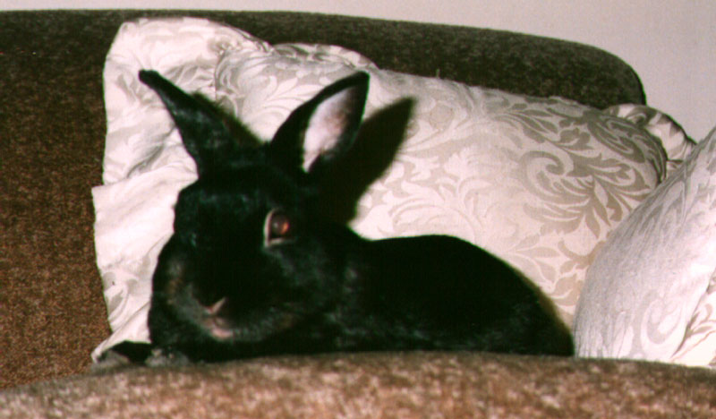 Raymond & Sharon Doty