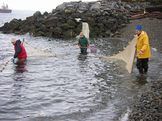 Outreach from Recent Projects | Jason Toft